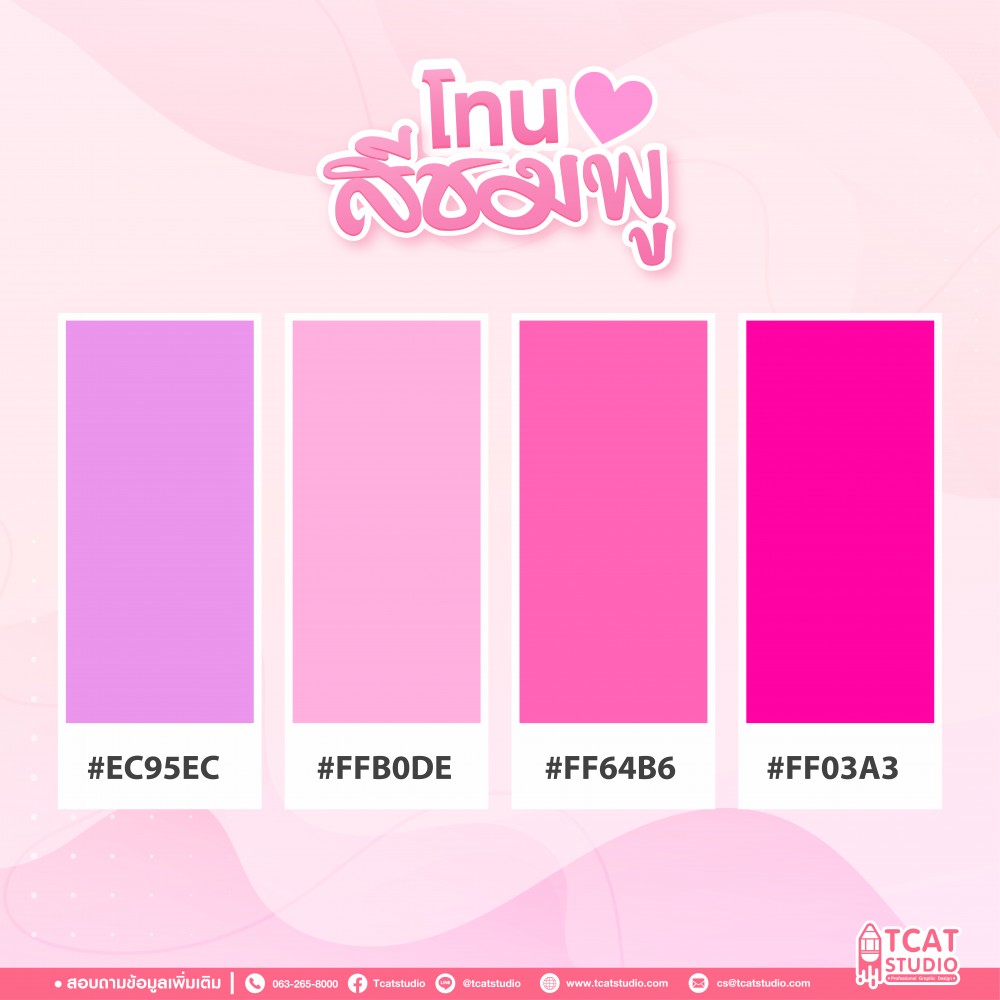 ให้มันเป็นสีชมพู~ ~ ~ แจกพาเลทสีชมพู ฉลองวันสีชมพูแห่งชาติ